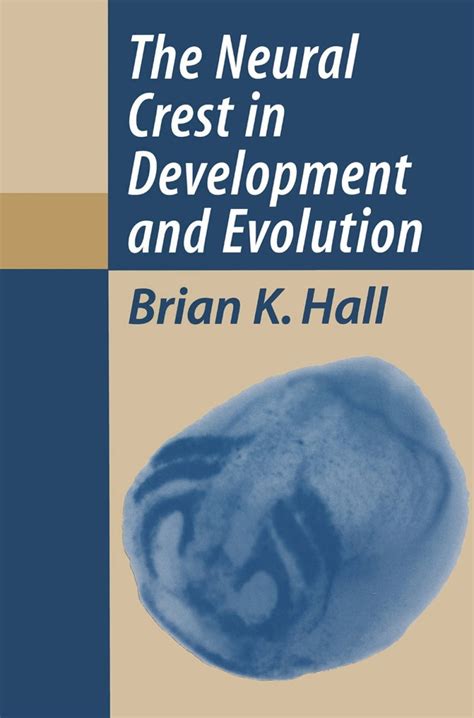 The Neural Crest In Development And Evolution Premiumjs Store
