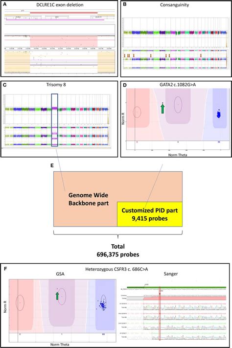 Rapid Low Cost Microarray Based Genotyping For Genetic Screening In Primary Immunodeficiency Pmc