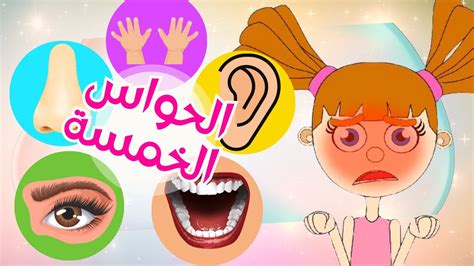 أغنية الحواس الخمسة للاطفال My Five Senses Youtube