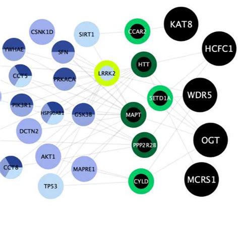 In Silico Analysis Links The Nsl Complex To Parkinsons Disease And The