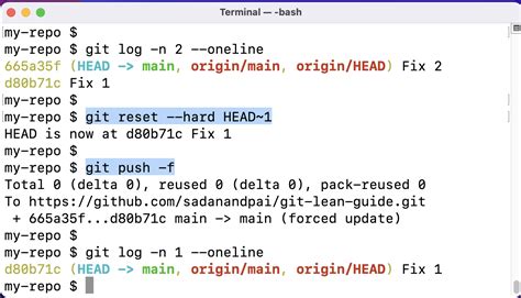 Github Praminegit Lean Guide Lean And Practical Guide To Everyday Git Commands