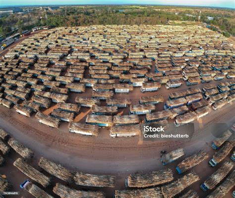 사탕수수 공장 외부의 트럭 주차에 사탕수수가 적재 된 무인 항공기 트럭의 공중 보기 공장 산업 건물에 대한 스톡 사진 및 기타 이미지 공장 산업 건물 깨끗한 농부