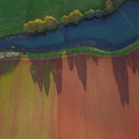 Biosecurity Framework Review Country News