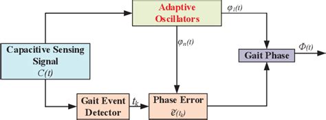 Figure 1 From Capacitive Sensing Based Continuous Gait Phase Estimation In Robotic Transtibial