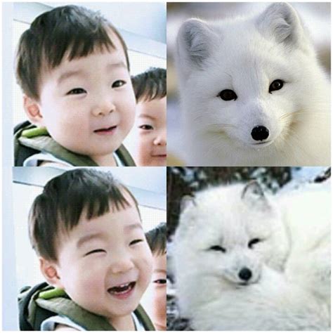 대한이 닮은 꼴  인스티즈 Instiz 이슈 카테고리