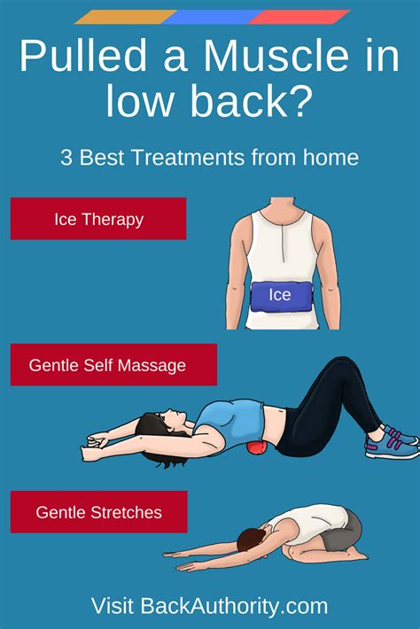 Pulled Neck Muscle Artofit