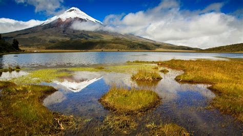 Cotopaxi Volcano National Park Near Latacunga Cotopaxi Ecuador Windows Spotlight Images