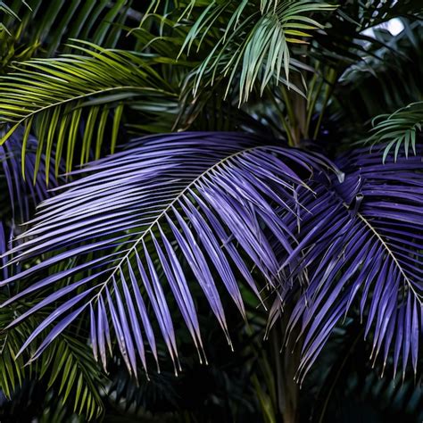Premium Ai Image Purple Leaves Of A Palm Tree