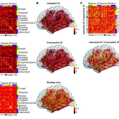 Correlation Matrices And Connectivity Patterns Of The Functional Download Scientific Diagram