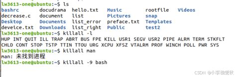 Linux操作系统实验报告单（6）进程与任务管理操作系统实验报告任务执行管理 Csdn博客