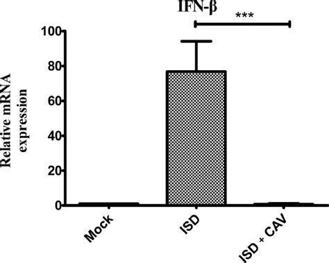 Chicken Anemia Virus Vp1 Negatively Regulates Type I Interferon Via Targeting Interferon