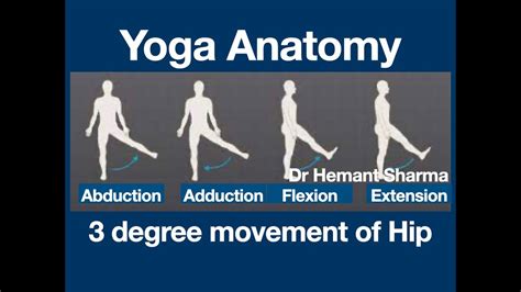 Yoga Anatomy Hip Flexion Extension Adduction Abduction Medial Rotation Lateral
