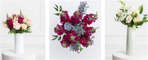 March Flowers In Season A Complete Guide