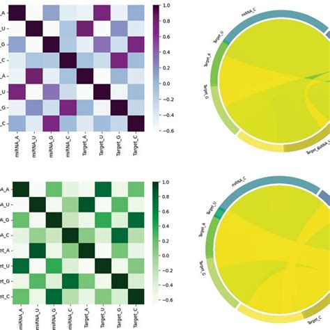 Correlation Heatmap And Chord Plot Between Fennel MiRNAs Nucleotides Download Scientific
