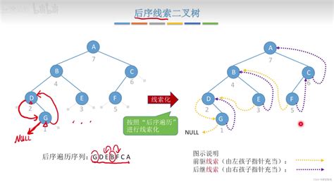 数据结构线索二叉树的概念 CSDN博客