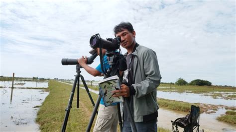 Cbga October Bird Count Cambodia Bird Guide Association