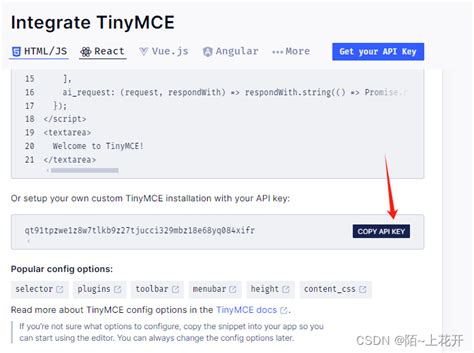 Vue3中tinymce511基础配置、使用api Key、上传图片、自定义按钮，以及付费情况tinymce Apikey Csdn博客