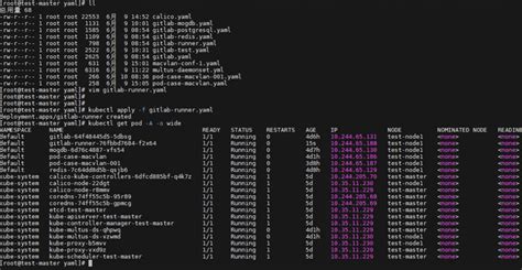 Gitlab Runner部署 Openeuler文档 Openeuler社区 V2203ltssp2