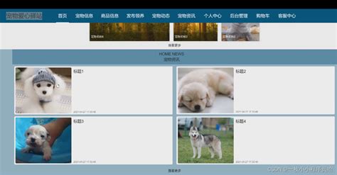 宠物爱心驿站宠物救助网站宠物领养网站宠物网站官网csdn Csdn博客