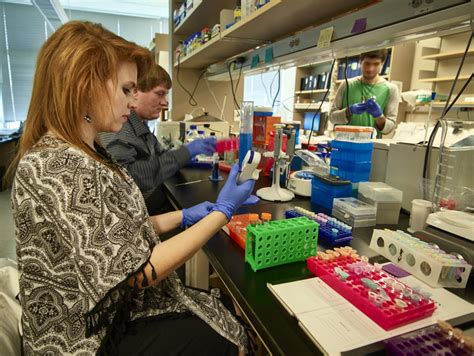 What Are Stem Cells Library Of Congress