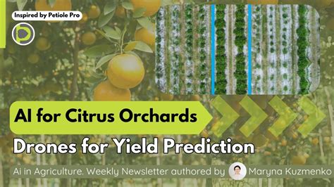 🍊 Ai For Citrus Orchards Drones For Yield Prediction 🍊