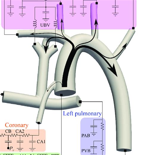 Lumped Parameter Network Coupled With Physical Domain Geometry For The