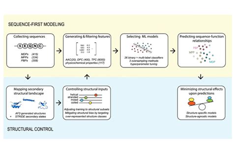 Structure Aware Machine Learning Strategies For Antimicrobial Peptide