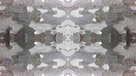 Symmetry Effect With The Bark Of A Tree Stock Image Image Of Carving