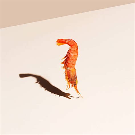 Elementor Toggle Widget Ht Mega Addons For Elementor