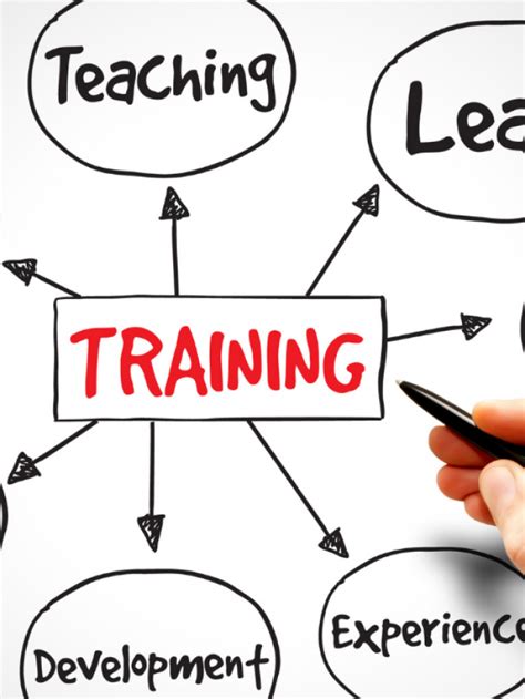 Sap Tutorial For Beginners