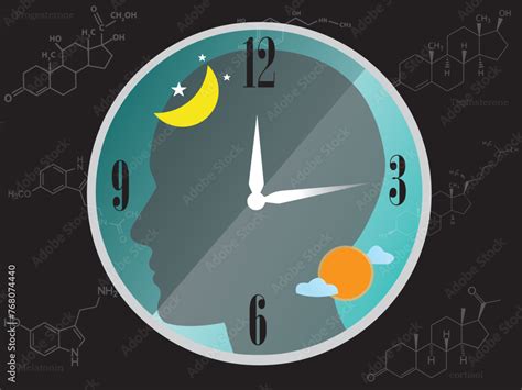 The Circadian Rhythms Are Controlled By Circadian Clocks Or Biological