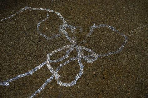 My Snail Trail Poetry
