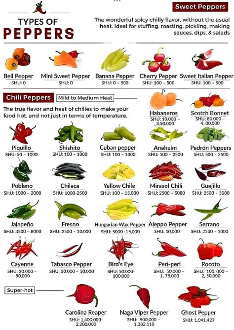 20 Different Types Of Peppers And Their Delicious Uses Artofit