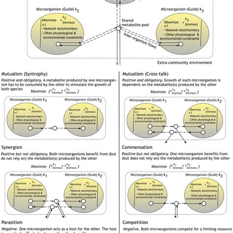 Schematic Illustration Of Optcom A The Multi Level Optimization