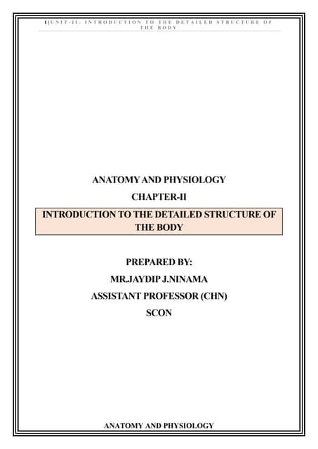 Structure Of A Human Cell Pptx