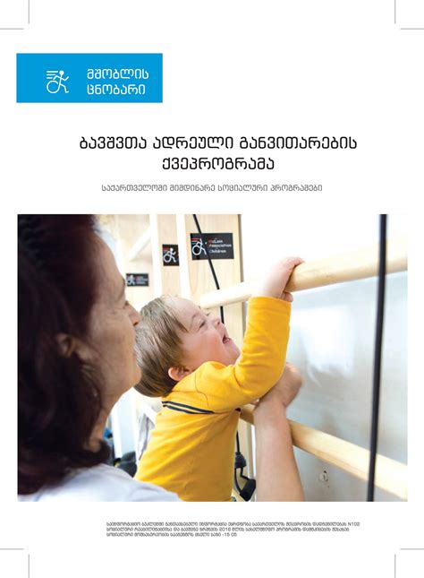 ბავშვთა ადრეული ინტერვენცია Macgeorgia