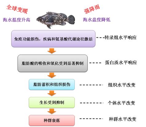 我所薄军研究员团队在极端气候事件对鱼类影响及脆弱性研究方面取得新进展 海洋三所