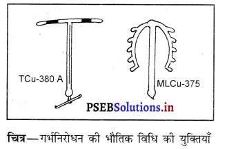 PSEB th Class Science Solutions Chapter जव जनन कस करत ह PSEB Solutions