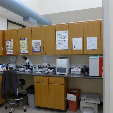 Icu Lab