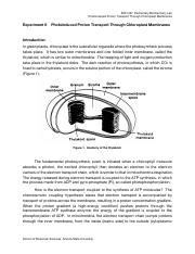 Proton Transport In Chloroplasts Handout Pdf BCH Elementary Biochemistry Lab