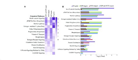 The Results Of Bioinformatic Analysis Signaling Pathways Shared Download Scientific Diagram