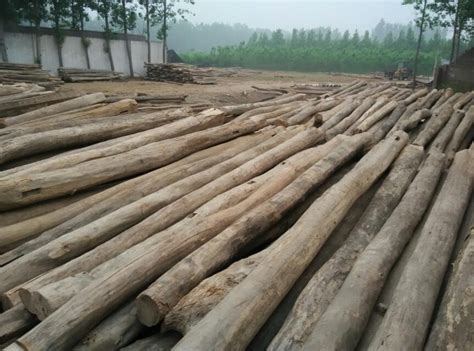 老榆木板材 老榆木家具 榆木板材 大山谷图库