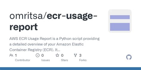Noam Rahamim On Linkedin Github Omritsaecr Usage Report Aws Ecr