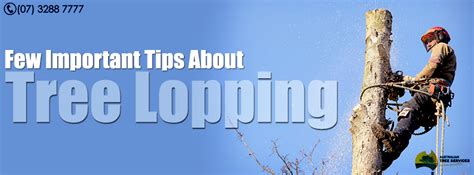 Important Tips About Tree Lopping Pruning Australian Tree Services