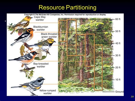 Natural Selection And Species Interactions Ppt Video Online Download