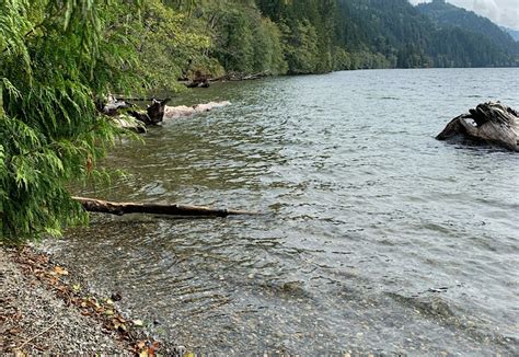 Lake Whatcom A Guide To One Of Bellinghams Gems
