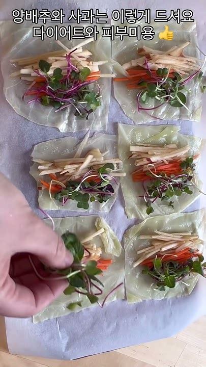 매일 하루 한끼 밥대신 양배추와 사과는 무조건 이렇게 만들어 드세요 간단하고 건강한 5kg 다이어트 양배추요리 다이어트요리 Shorts 요리 레시피 Youtube