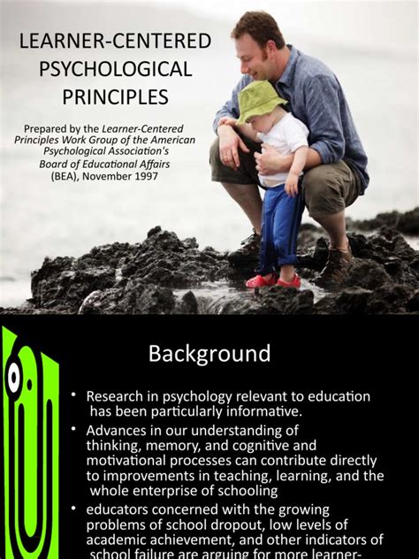 Learner Centered Principles Pdf Learning Motivational