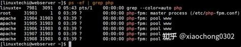 通过20个实例掌握 Linux Ps 命令 知乎