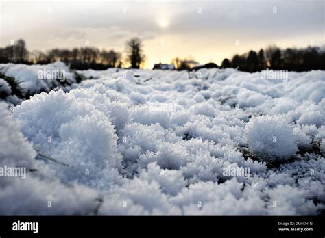Snow Crystals Form Into Balls Of Protruding Shards Of Ice In A Field Of
